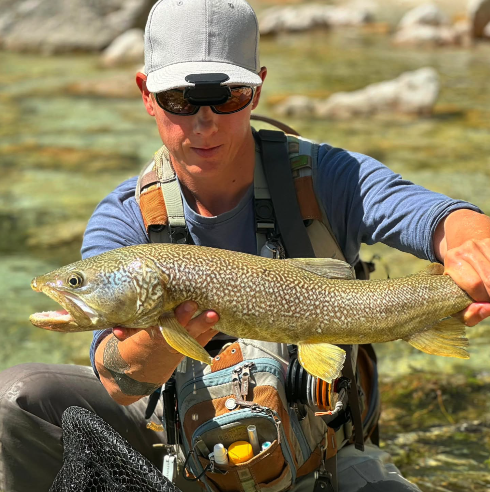 Slo-Fly Guide Service (Lesly Janssen) | European Native Trout Challenge