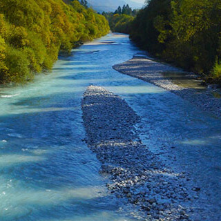 Hucho hucho – The Danube Salmon