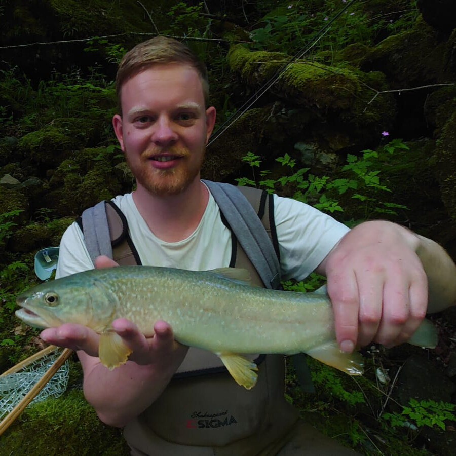 Salmo marmoratus – The Marble Trout.